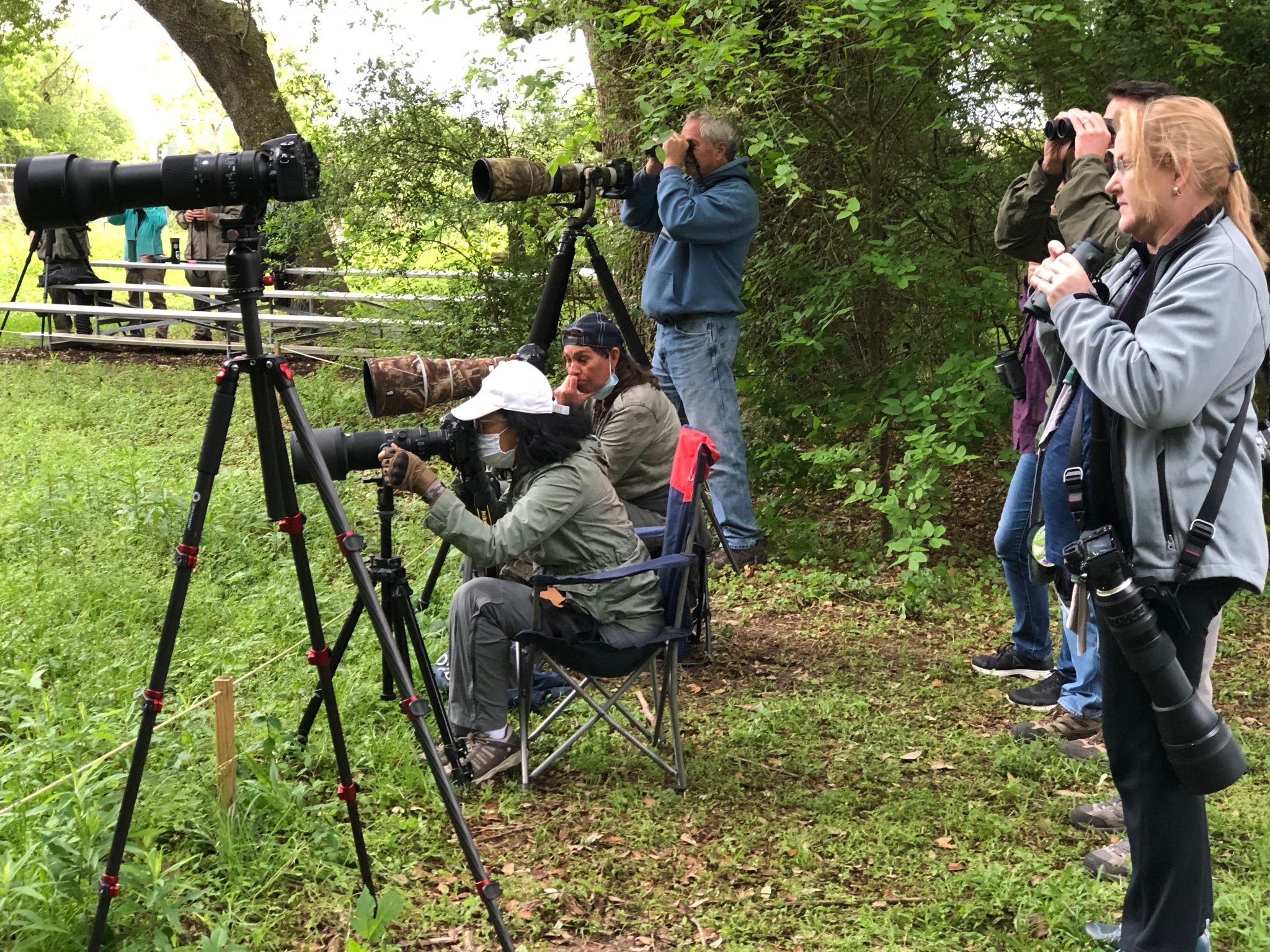 Migrating Warblers – Fallout at High Island, Texas | The Accidental Birder